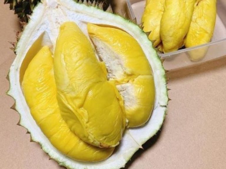 12 Types Of Durians In Malaysia & Tips On Choosing The Best One
