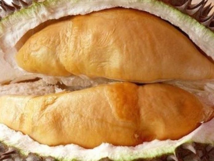 12 Types Of Durians In Malaysia & Tips On Choosing The Best One