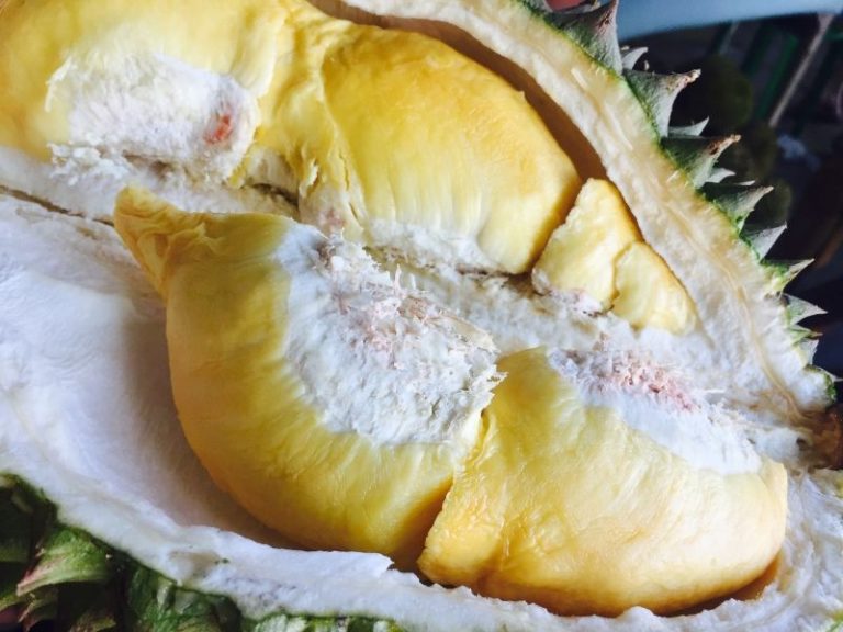 12 Types Of Durians In Malaysia & Tips On Choosing The Best One