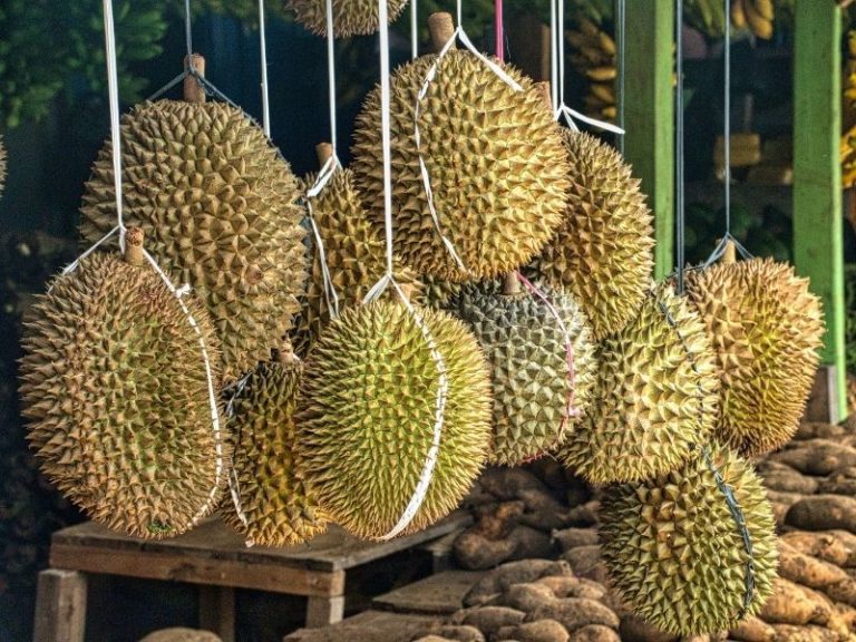 12 Types Of Durians In Malaysia & Tips On Choosing The Best One