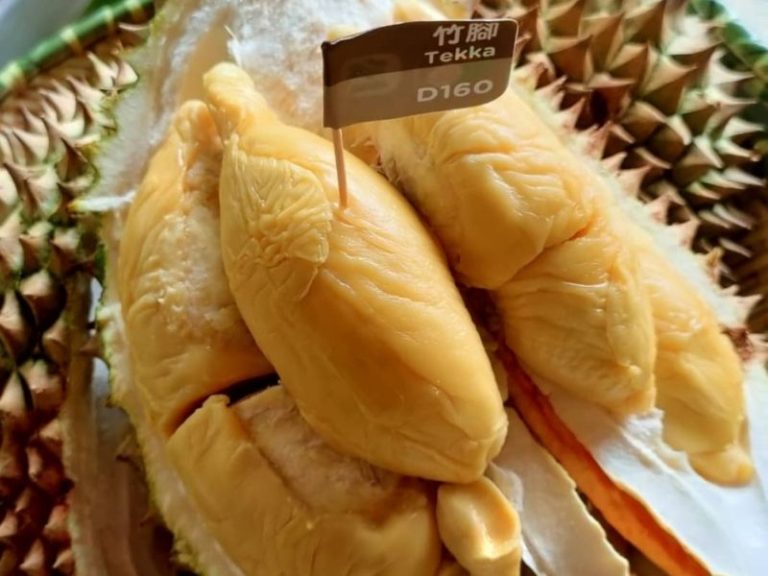 12 Types Of Durians In Malaysia & Tips On Choosing The Best One
