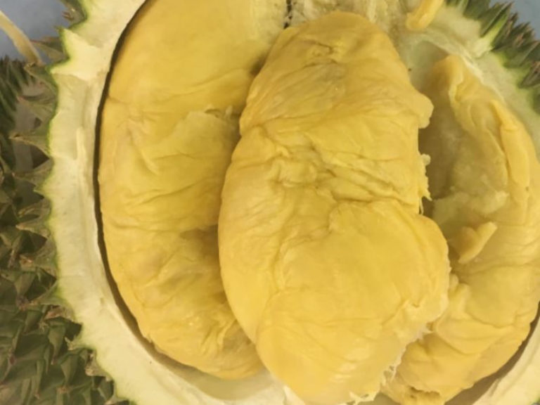 12 Types Of Durians In Malaysia & Tips On Choosing The Best One
