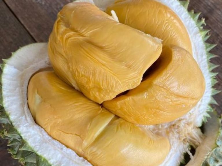 12 Jenis Durian Di Malaysia & Tip-Tip Memilih Durian Yang Terbaik