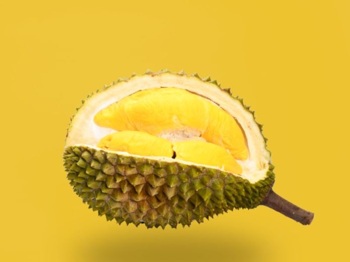 12 Jenis Durian Di Malaysia & Tip-Tip Memilih Durian Yang Terbaik