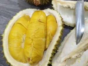 12 Jenis Durian Di Malaysia & Tip-Tip Memilih Durian Yang Terbaik