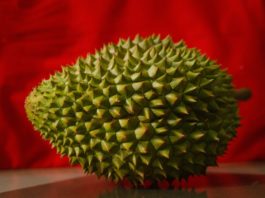 12 Jenis Durian Di Malaysia & Tip-Tip Memilih Durian Yang Terbaik
