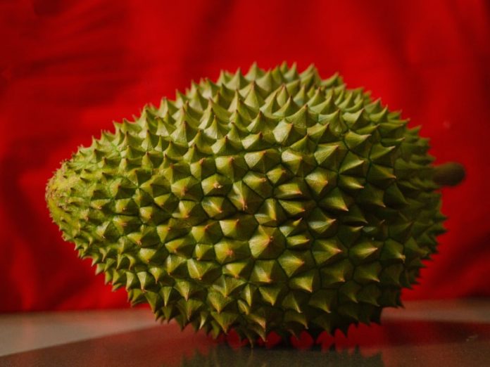 12 Jenis Durian Di Malaysia & Tip-Tip Memilih Durian Yang Terbaik