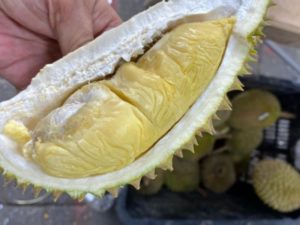12 Jenis Durian Di Malaysia & Tip-Tip Memilih Durian Yang Terbaik