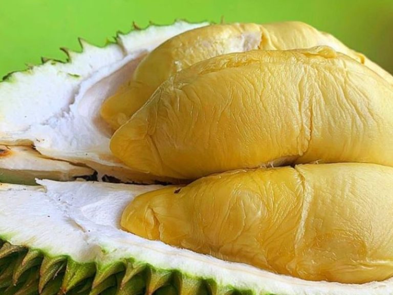 12 Jenis Durian Di Malaysia & Tip-Tip Memilih Durian Yang Terbaik