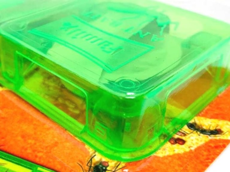 How To Get Rid Of Ants: 9 Effective Ways That Really Work
