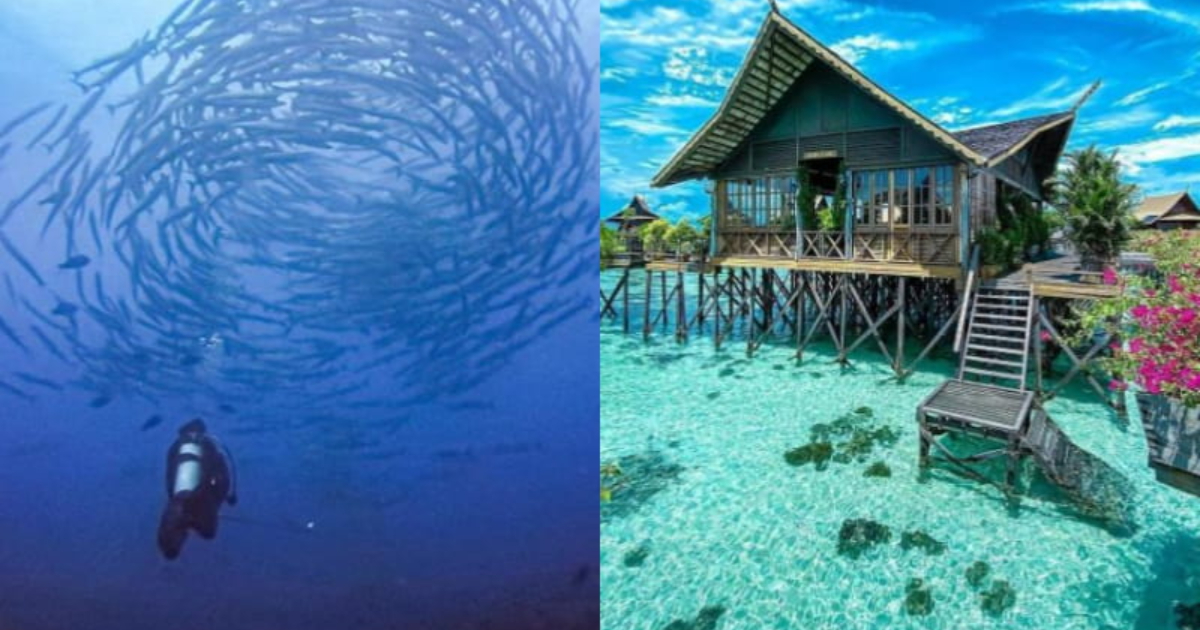 The Best Islands In Sabah For Diving, Snorkeling & Serene Beaches