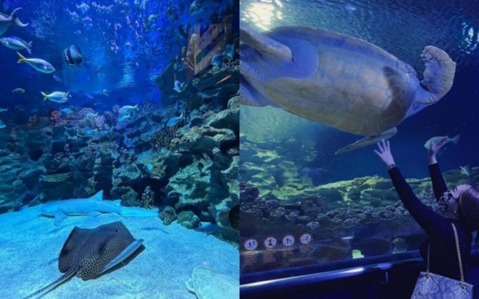 9 Best Science Centres and Museums In Malaysia For Kids To Visit