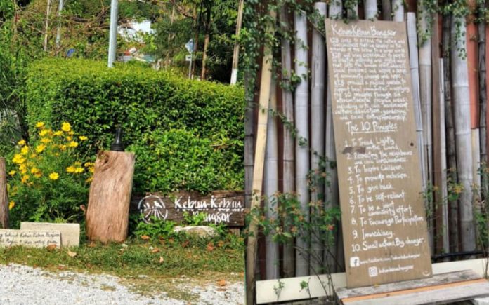 Kebun-Kebun Bangsar: 6 Fun Things To Do In This Urban Farm