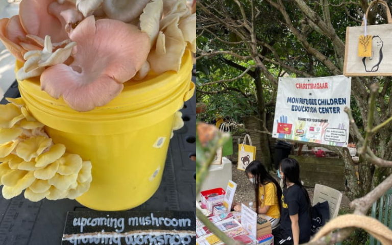 Kebun-Kebun Bangsar: 6 Fun Things To Do In This Urban Farm
