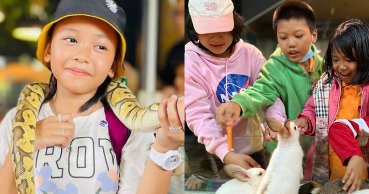 7 Best Petting Zoos In KL & Selangor For Animal-Loving Kids