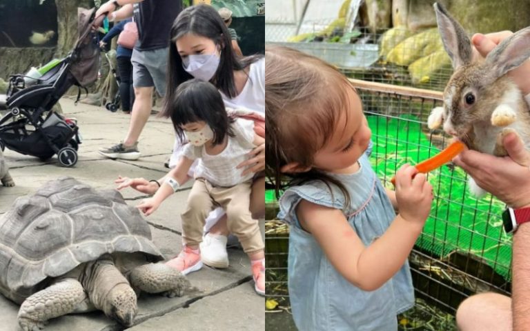 7 Best Petting Zoos In KL & Selangor For Animal-Loving Kids