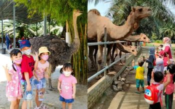 7 Best Petting Zoos In KL & Selangor For Animal-Loving Kids
