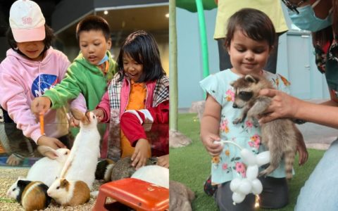 7 Best Petting Zoos In KL & Selangor For Animal-Loving Kids