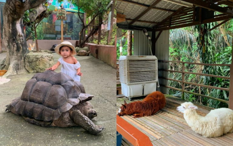 7 Best Petting Zoos In KL & Selangor For Animal-Loving Kids