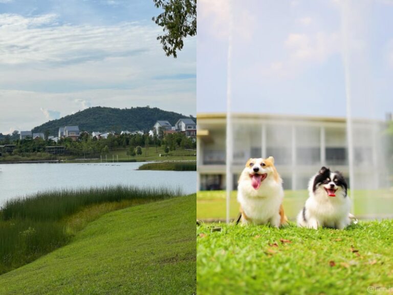 9 Best Pet-Friendly Park In Klang Valley For Walkies And Zoomies